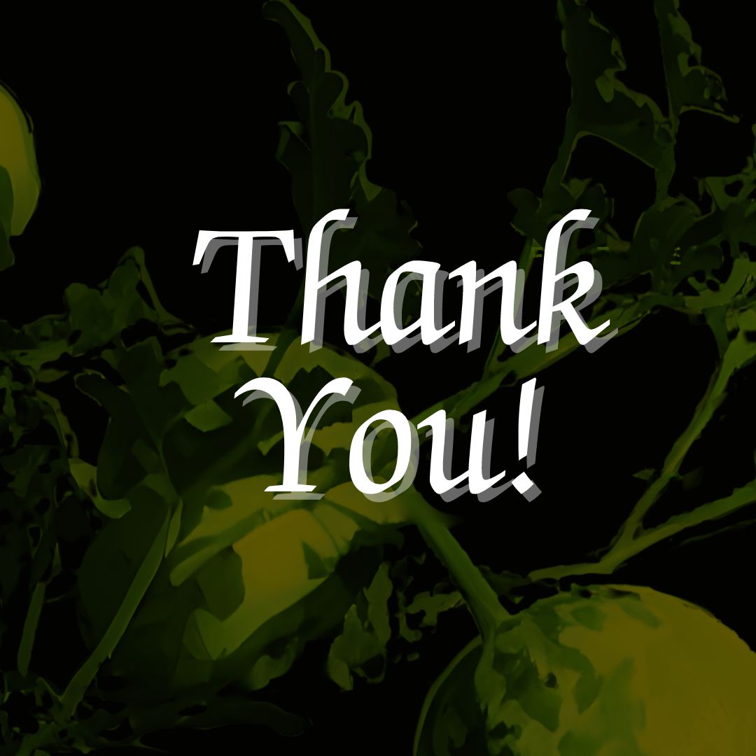 Handala - A Celebration of Palestine - Film and Storytelling | Seed&Spark