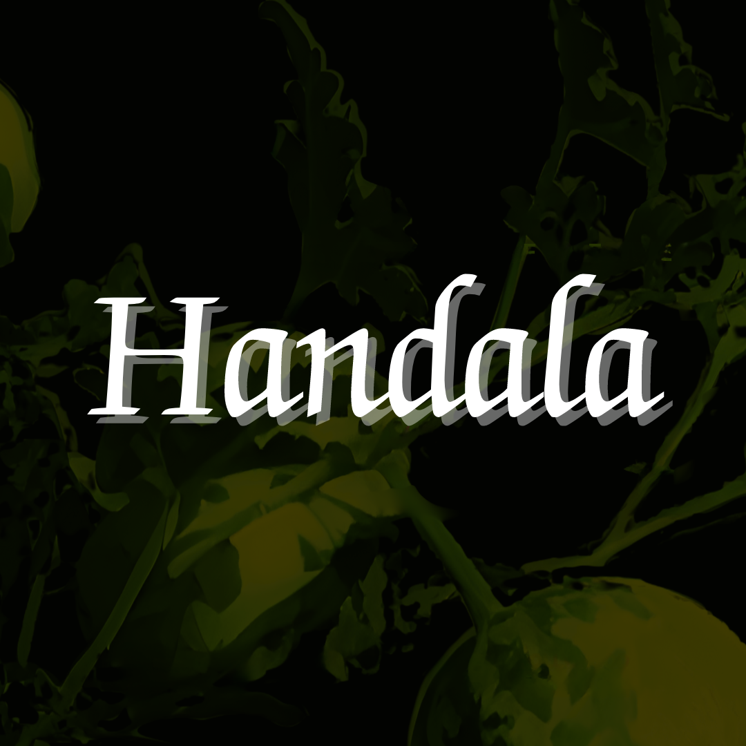 Handala - A Celebration of Palestine - Film and Storytelling | Seed&Spark