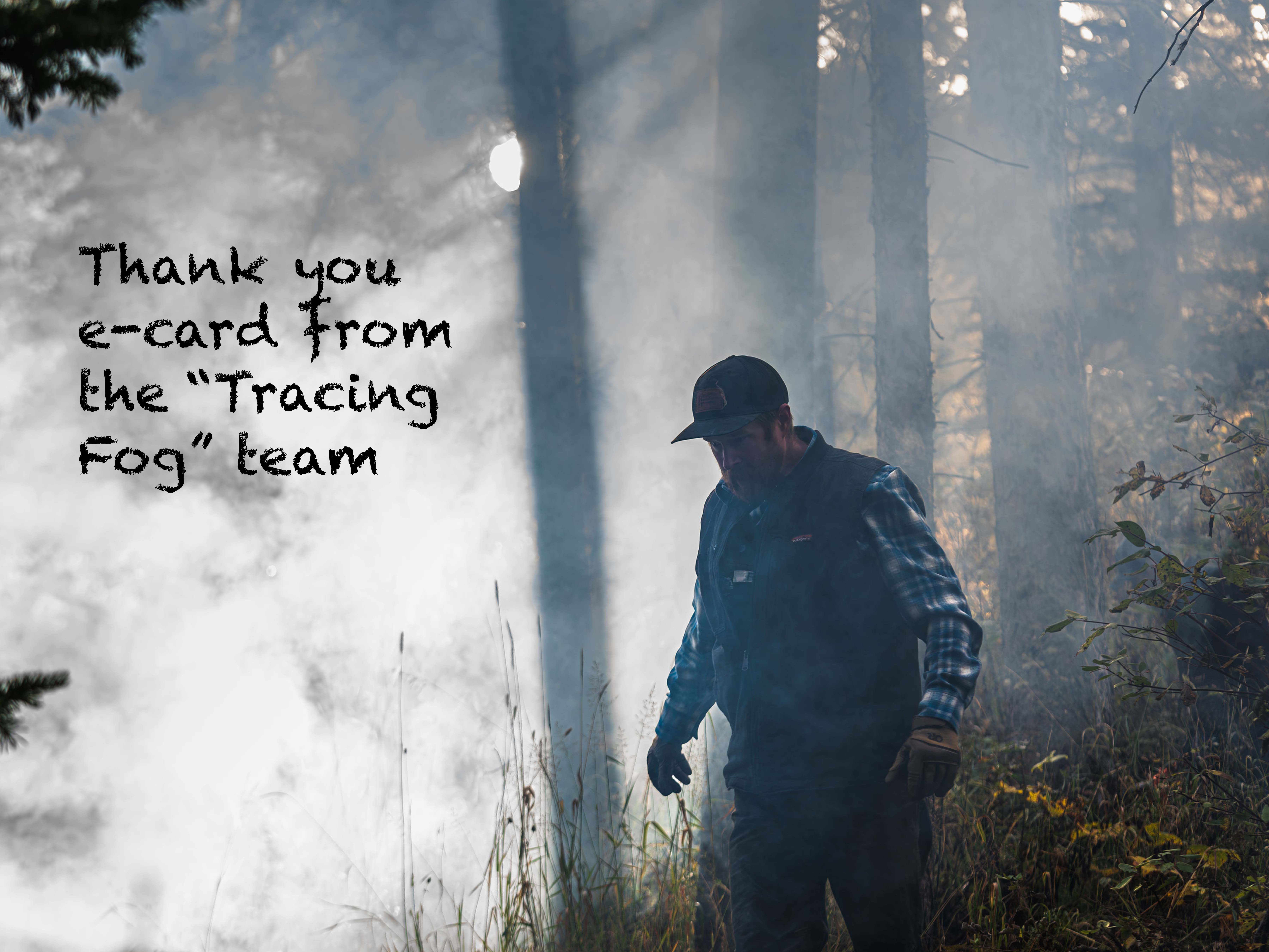 Tracing Fog - Film and Storytelling | Seed&Spark