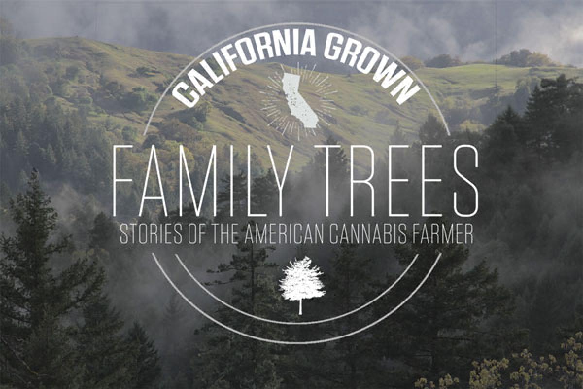 Family Trees - Film and Storytelling | Seed&Spark