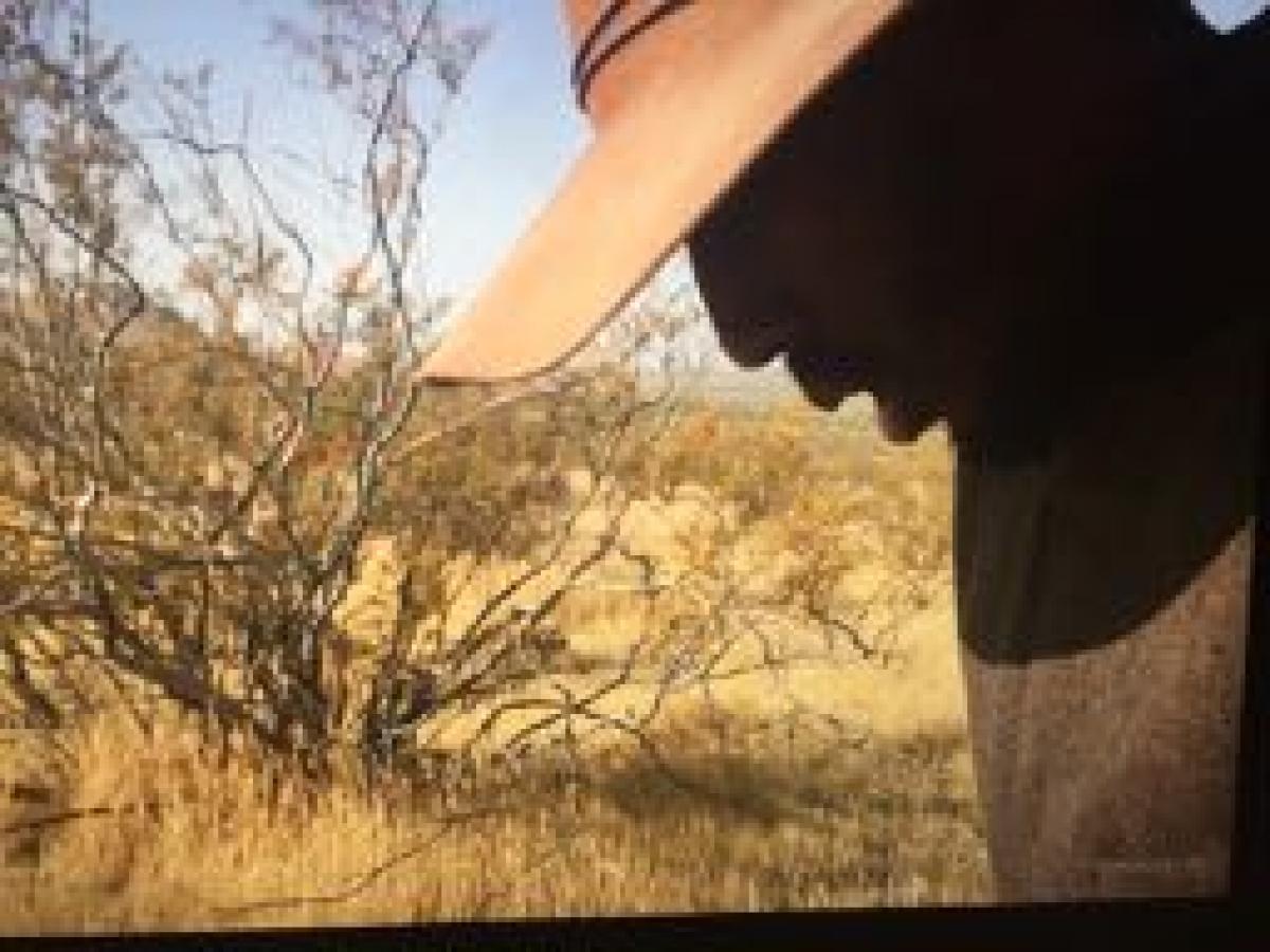 Desert Trilogy - Film and Storytelling | Seed&Spark