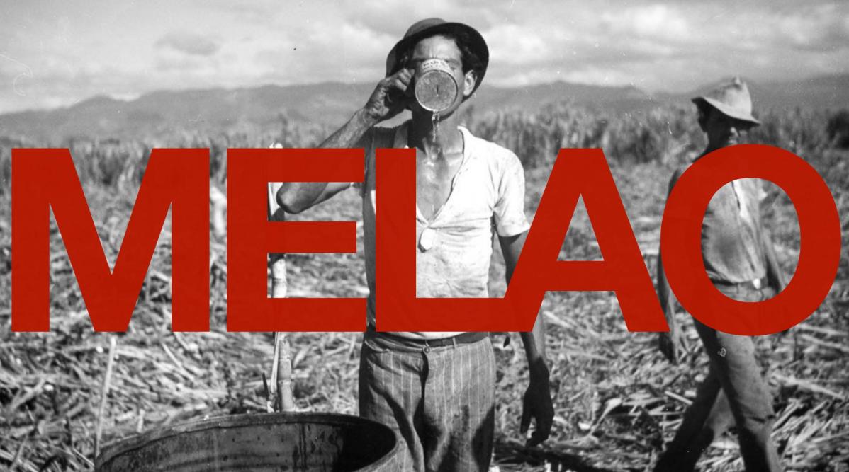 MELAO - Film and Storytelling | Seed&Spark