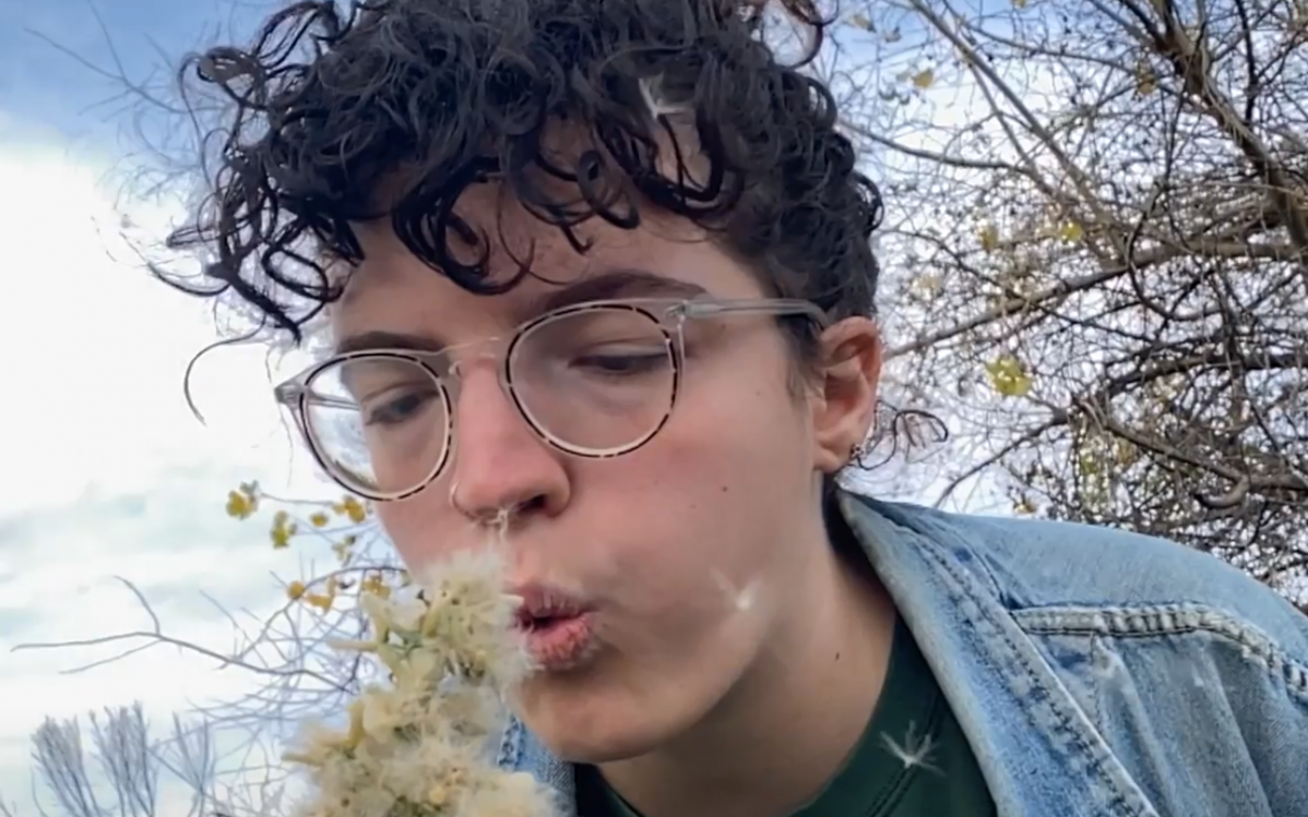"Dandelion" : The Music Video - Film and Storytelling | Seed&Spark