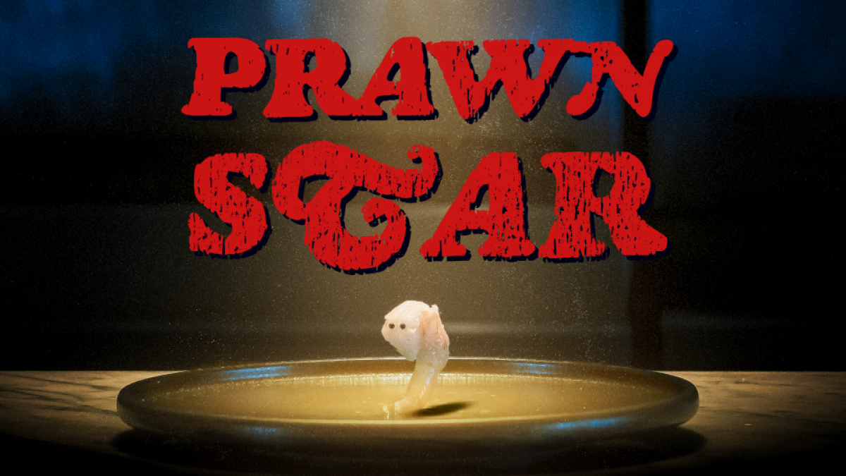PRAWN STAR - Film and Storytelling | Seed&Spark