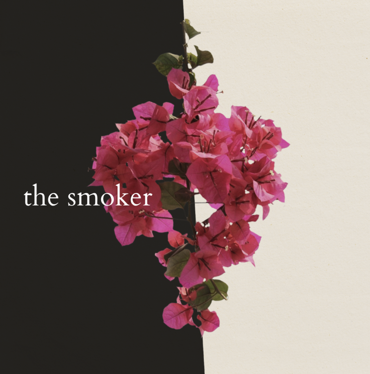 The Smoker - Film and Storytelling | Seed&Spark