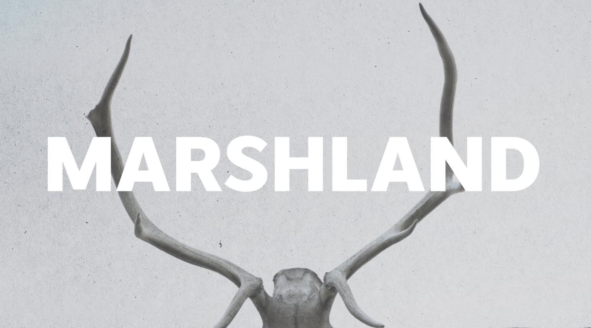 MARSHLAND - Film and Storytelling | Seed&Spark