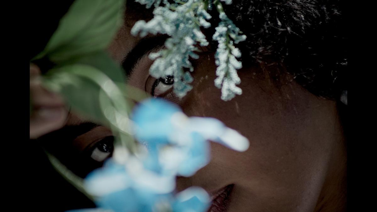 Bluebell Ballad - Film and Storytelling | Seed&Spark