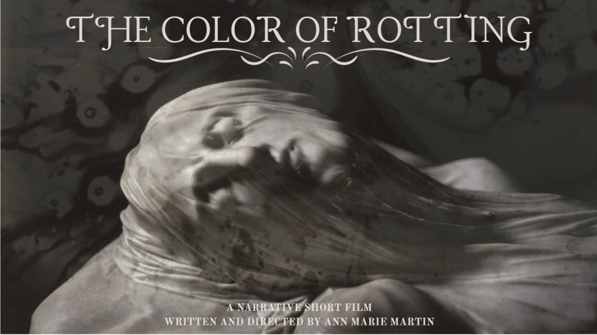 The Color of Rotting - Film and Storytelling | Seed&Spark