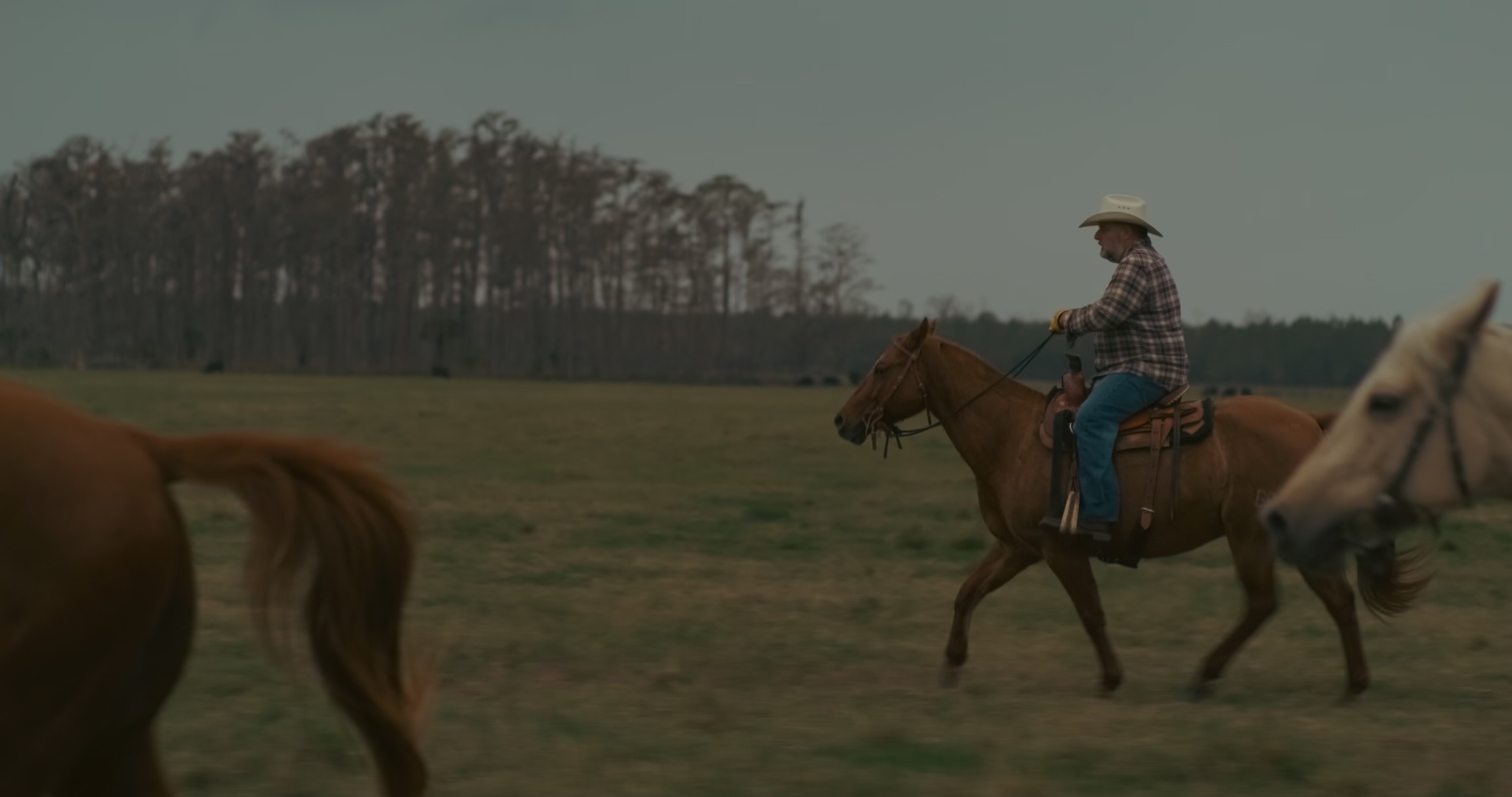 Bull Short Film - Film and Storytelling | Seed&Spark
