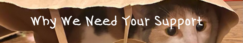 Finding Flora - Film and Storytelling | Seed&Spark