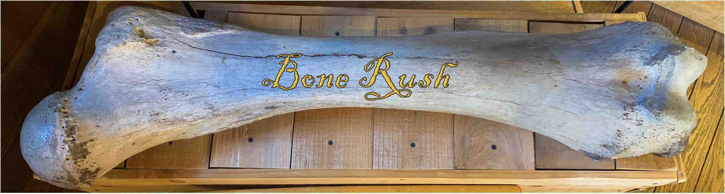 Bone Rush - Film and Storytelling | Seed&Spark