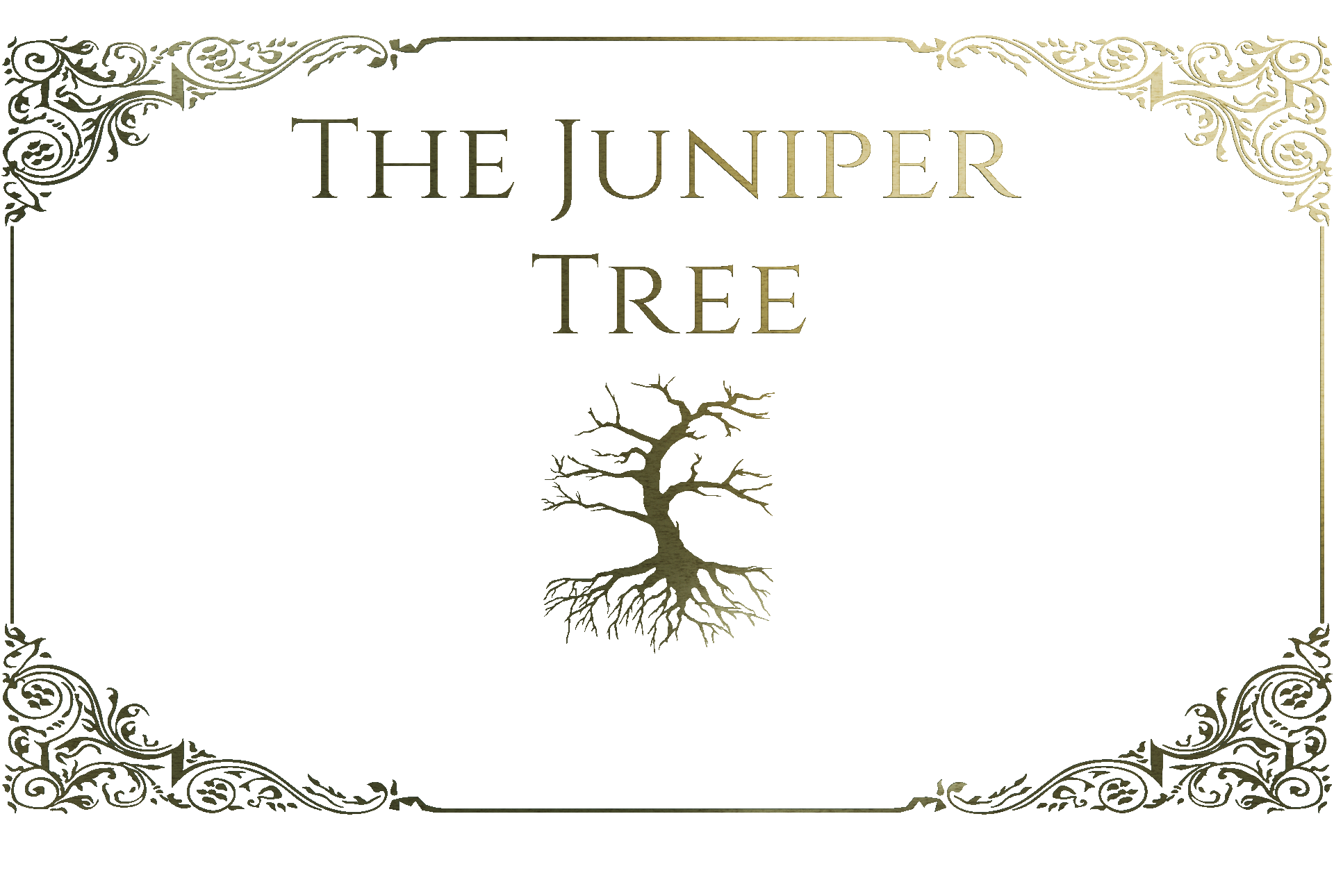 Juniper Tree Facts Definition Types Identification
