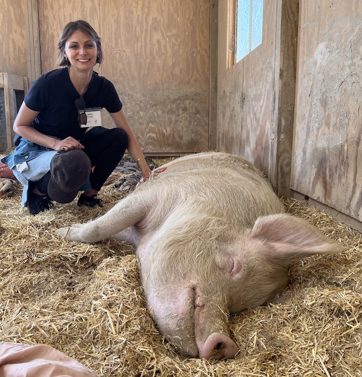 Forever Home - Film and Storytelling | Seed&Spark