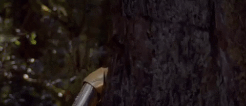 Ewok Hunt: A Star Wars Horror Story - Film and Storytelling | Seed&Spark