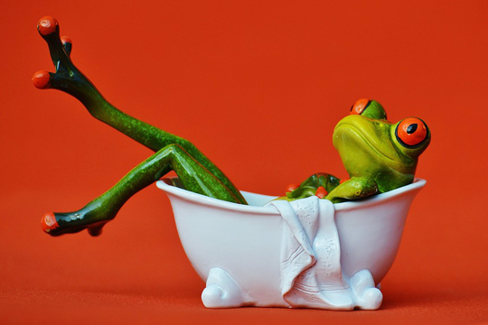 Sink Frog Friend - Film and Storytelling | Seed&Spark