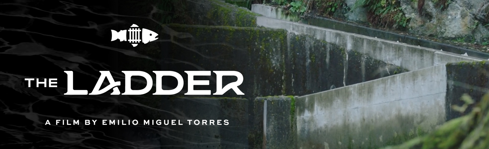 The Ladder - A Feature Film - Film and Storytelling | Seed&Spark